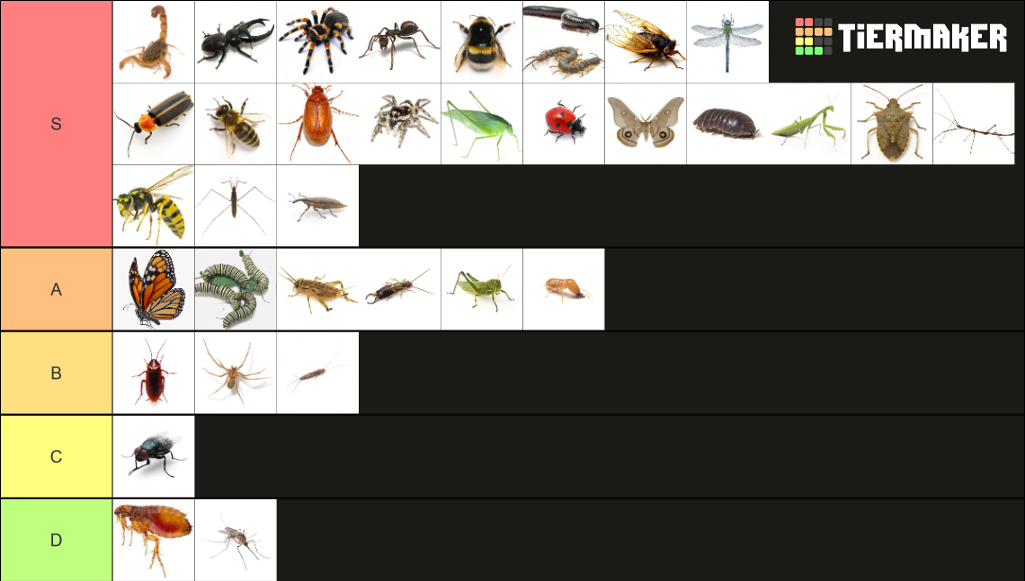 Official Bug Tier List (Community Rankings) - TierMaker