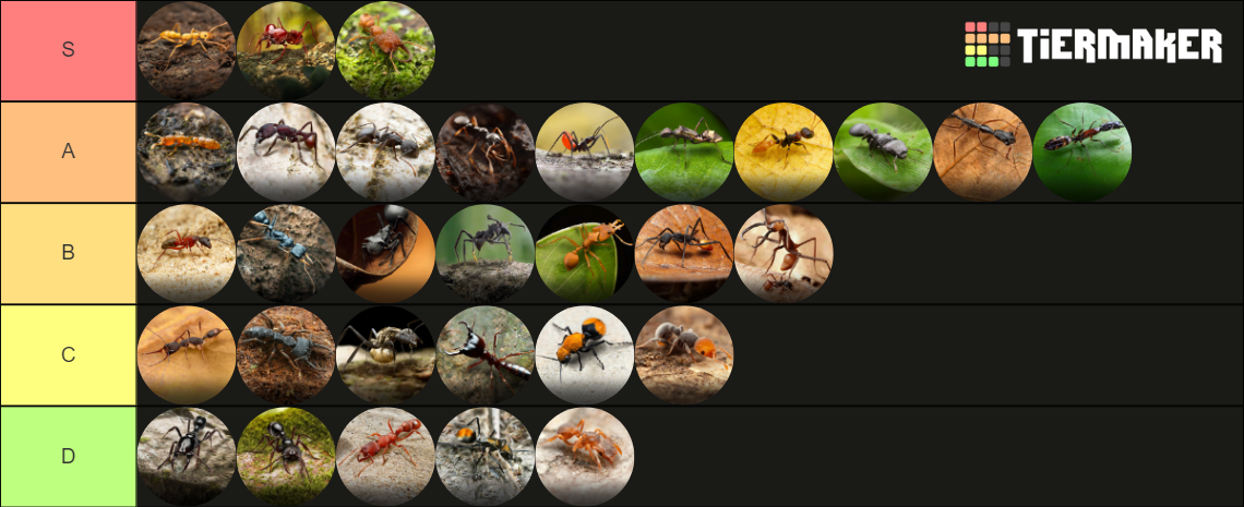 The Ants: Underground Kingdom - Orange Combat Special Ants Tier List ...