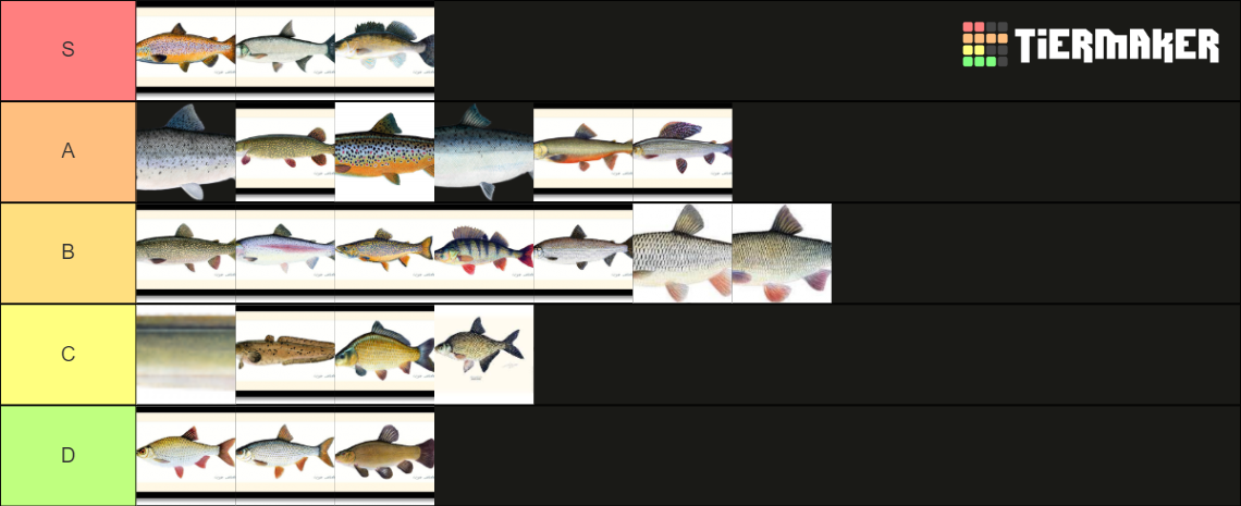 Northern European Fish tierlist Tier List (Community Rankings) - TierMaker