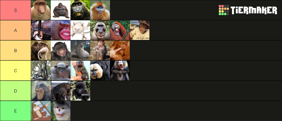 monkey Tier List (Community Rankings) - TierMaker