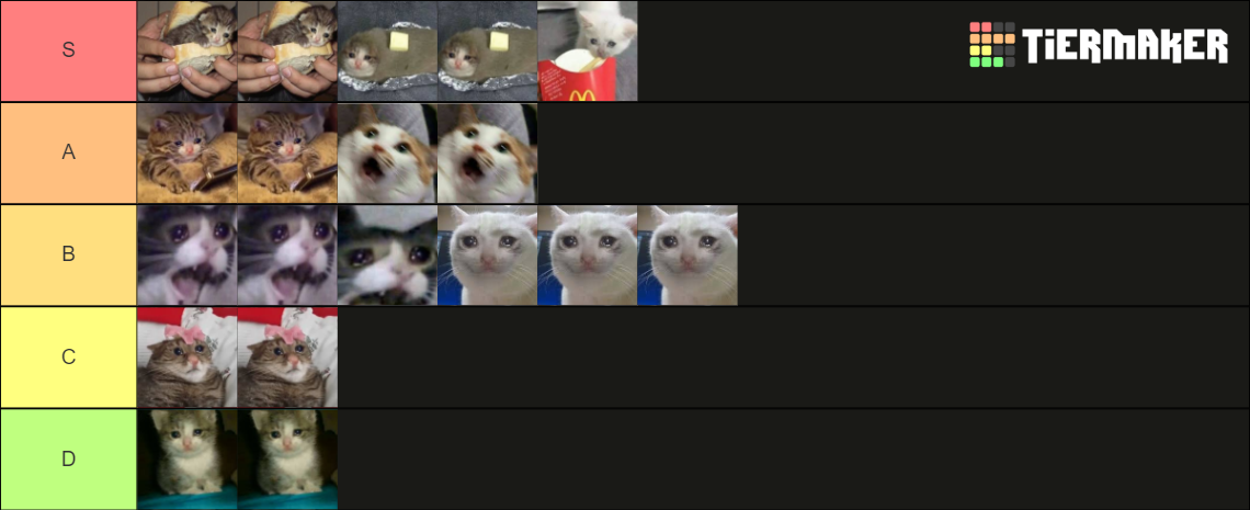 Sad Cats Tier List (Community Rankings) - TierMaker