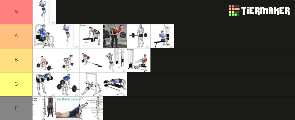 Top 20 back exercises Tier List (Community Rankings) - TierMaker