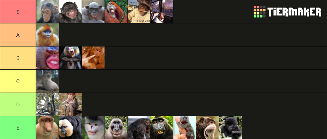monkey Tier List (Community Rankings) - TierMaker