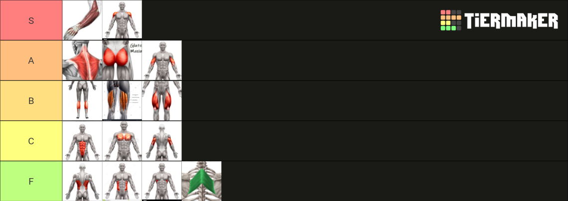 Muscle attractiveness Tier List (Community Rankings) - TierMaker