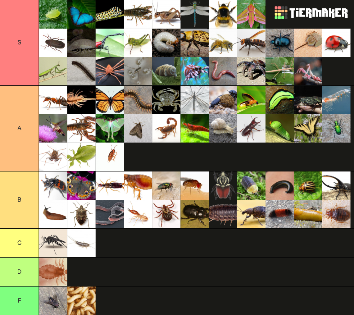 bug (improved) Tier List (Community Rankings) - TierMaker
