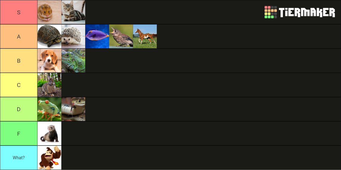 Household Pets Tier List (Community Rankings) - TierMaker