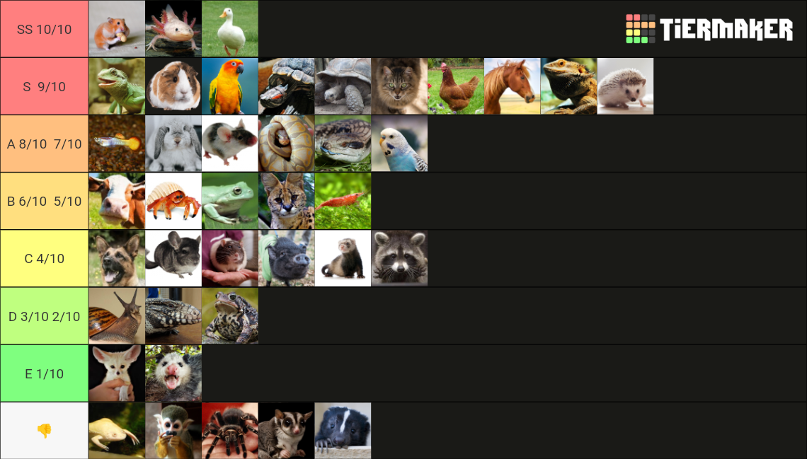 ULTIMATE PET TIER LIST Tier List (Community Rankings) - TierMaker