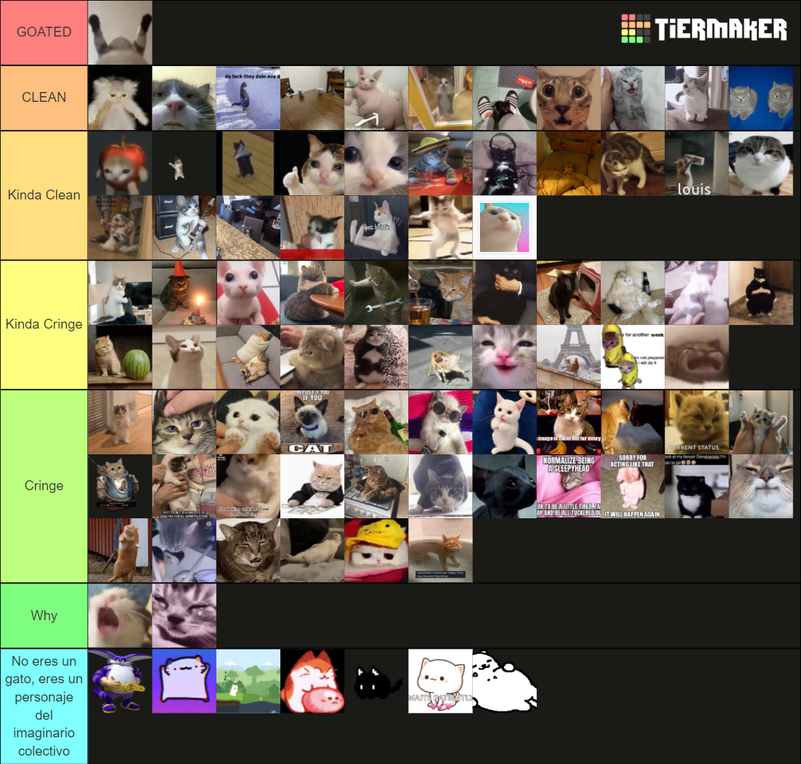 Timb's Cat Meme Tier List (Community Rankings) - TierMaker