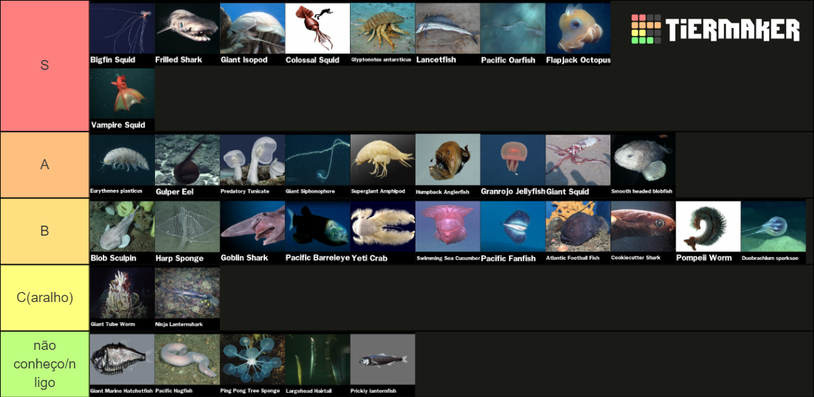 Deep Sea Creatures Tier List (Community Rankings) - TierMaker