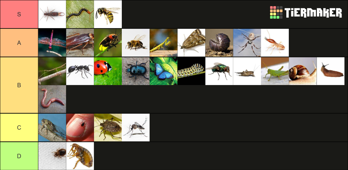 Bugs Tier List (Community Rankings) - TierMaker