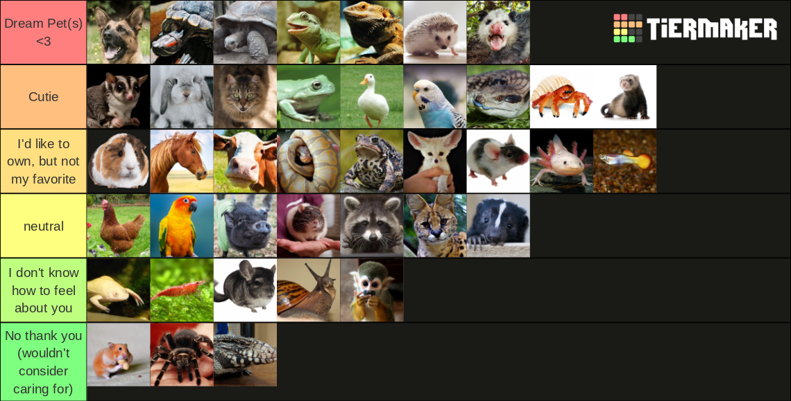 ULTIMATE PET TIER LIST Tier List (Community Rankings) - TierMaker