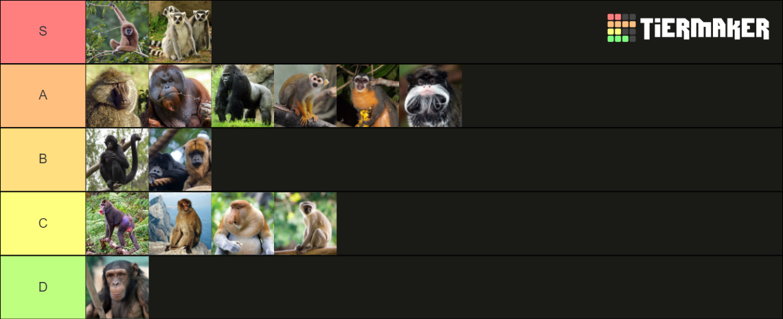 Primate Genus Tier List (Community Rankings) - TierMaker