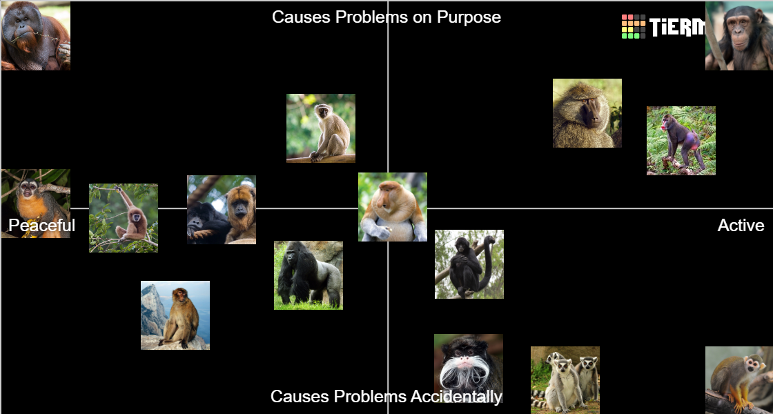 Primate Genus Tier List (Community Rankings) - TierMaker