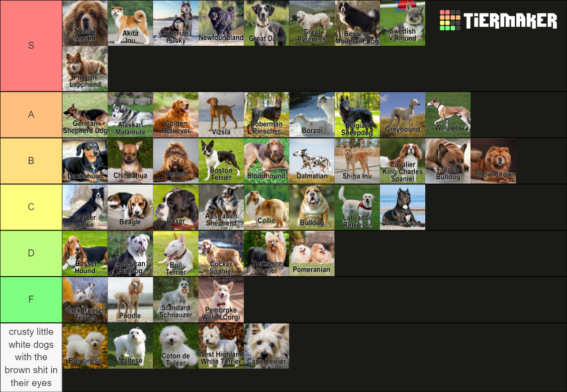 Pure Dog Breeds (Labeled) Tier List (Community Rankings) - TierMaker