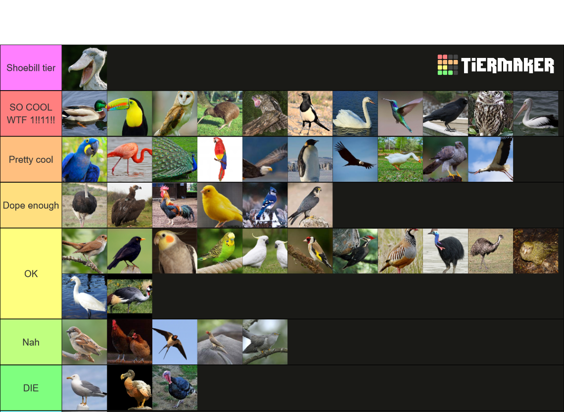 Bird ( 50 birds ) Tier List (Community Rankings) - TierMaker