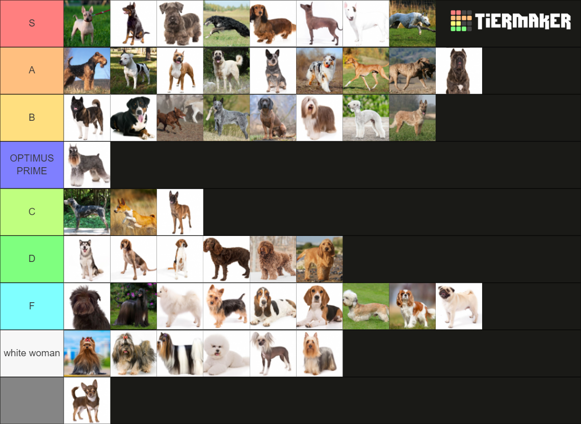 Dog Breed Tier List (Community Rankings) - TierMaker
