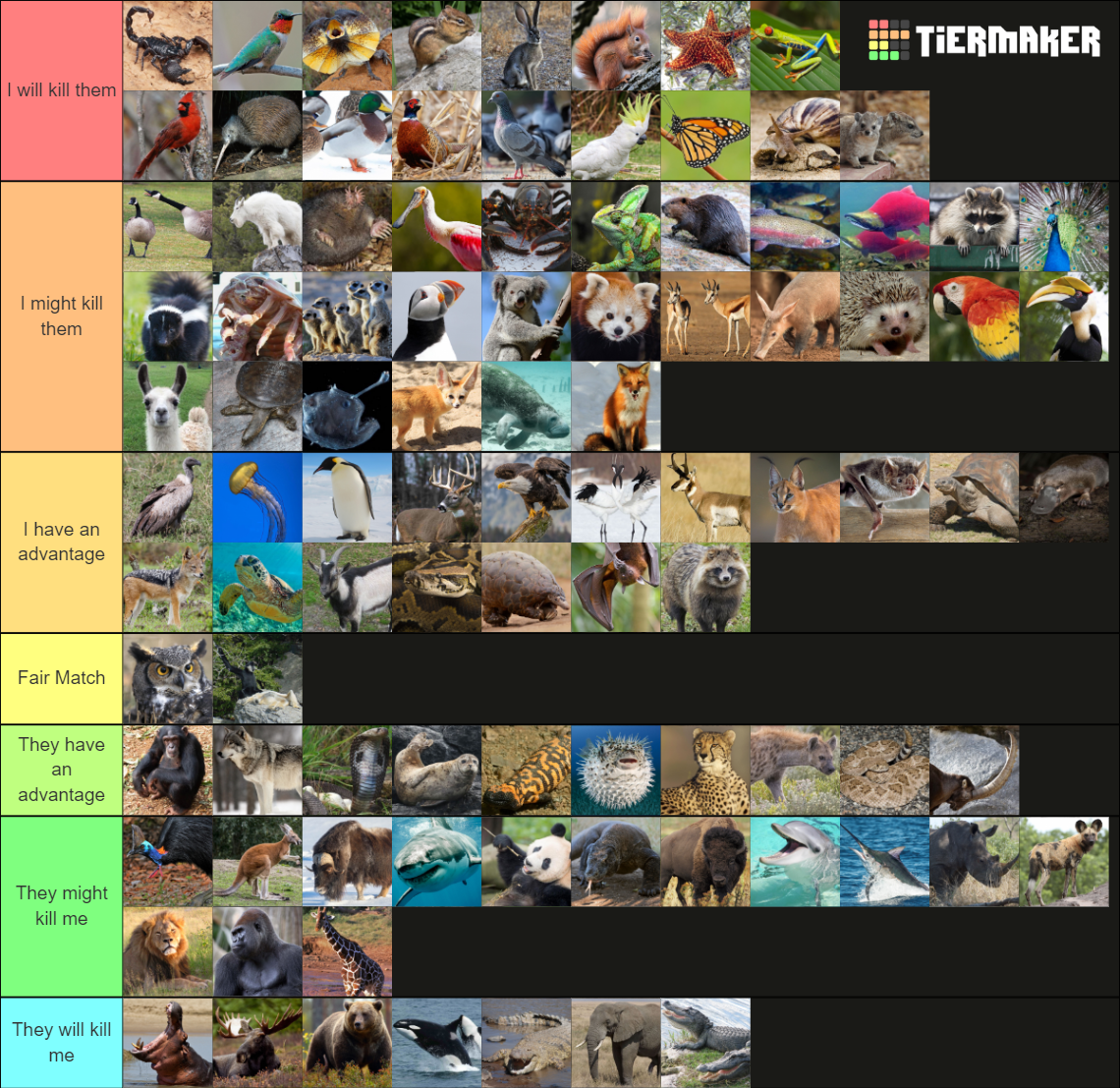 Animal Tier List (Community Rankings) - TierMaker