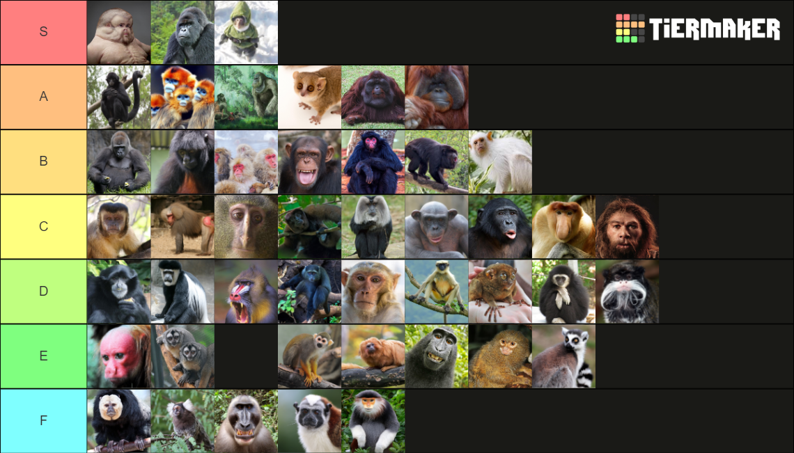 Best Monkey 2 Tier List (Community Rankings) - TierMaker