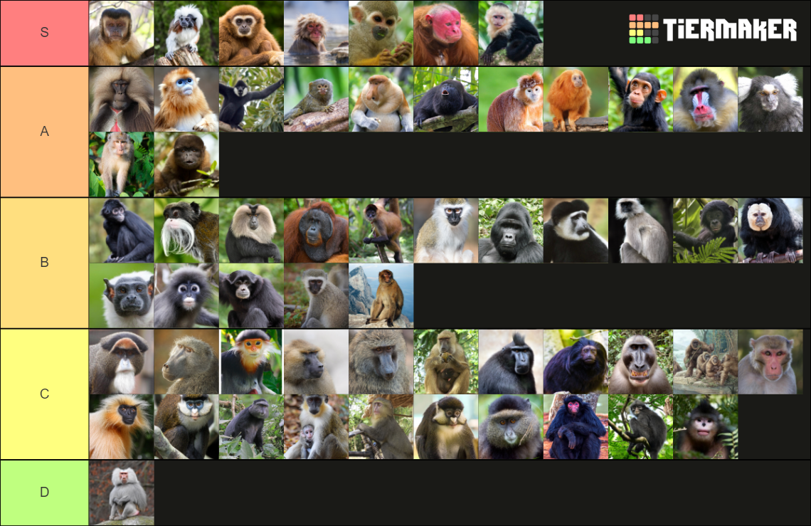 Monkeys/Apes Tier List (Community Rankings) - TierMaker