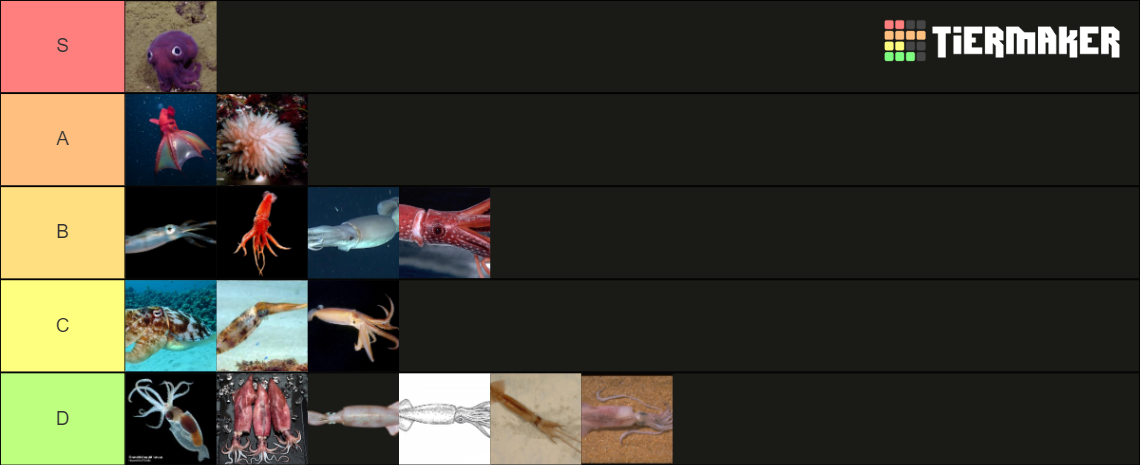 Squids Tier List (Community Rankings) - TierMaker