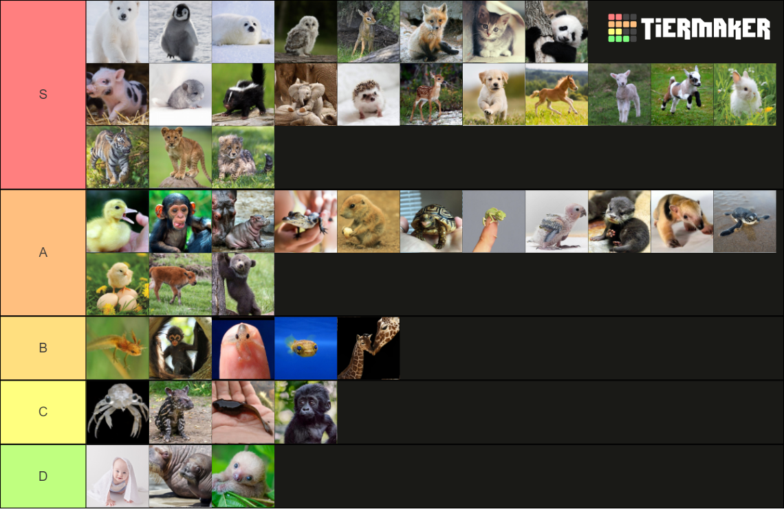 Cutest Baby Animals Tier List (Community Rankings) - TierMaker