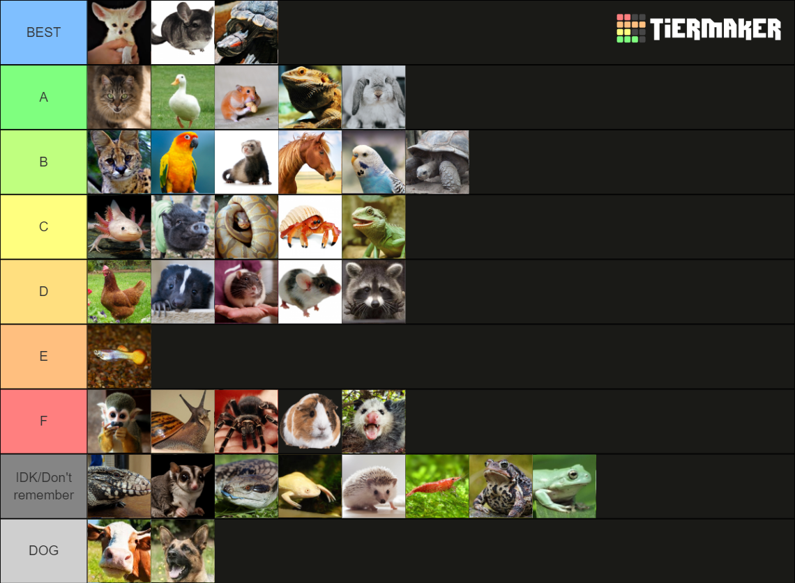 ULTIMATE PET TIER LIST Tier List (Community Rankings) - TierMaker