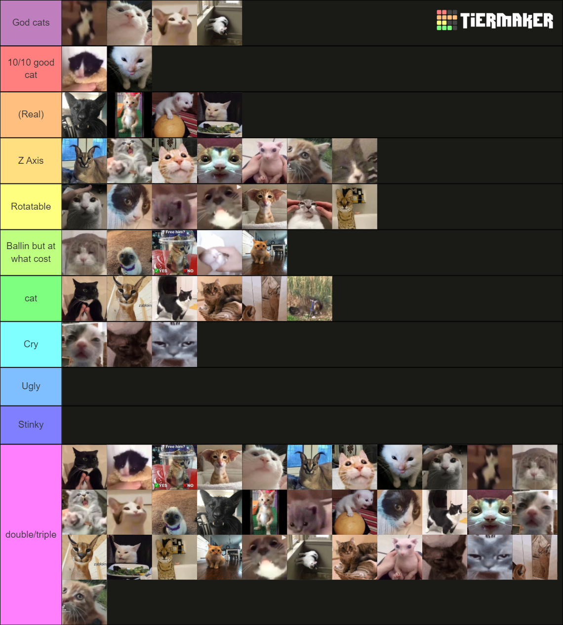 Meme Cats Tier List (Community Rankings) - TierMaker