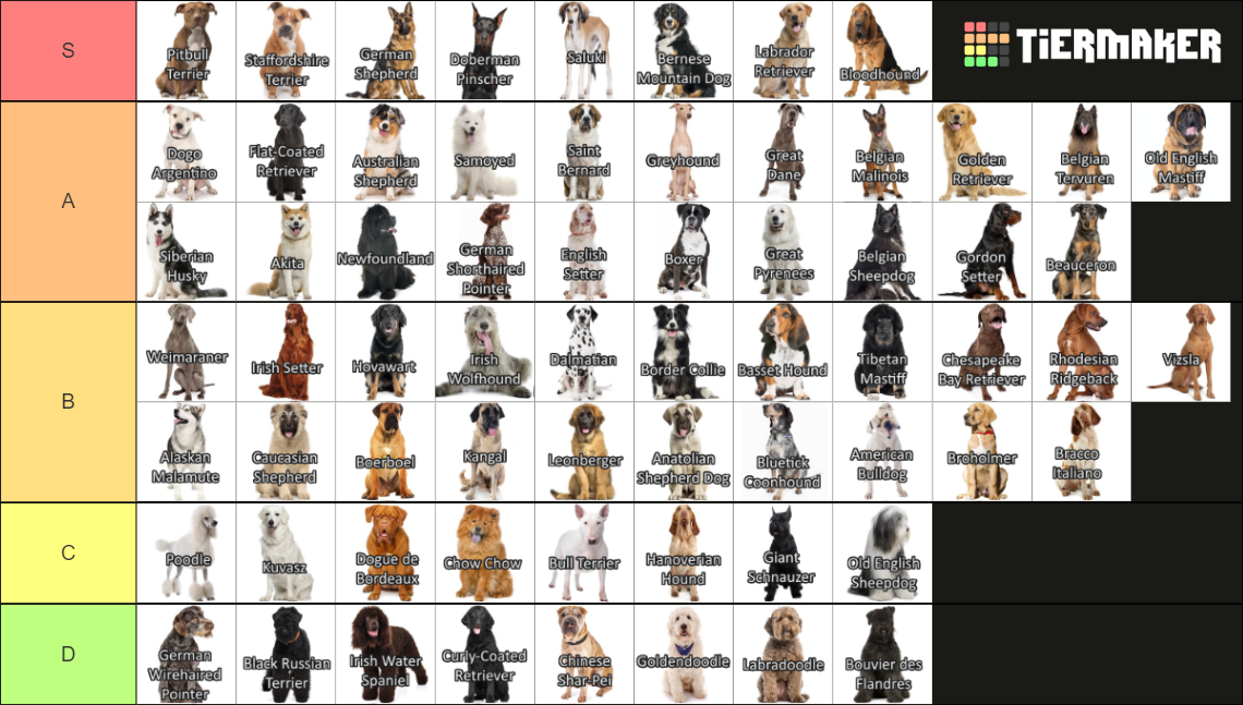 Large dog breeds (66 breeds) Tier List (Community Rankings) - TierMaker