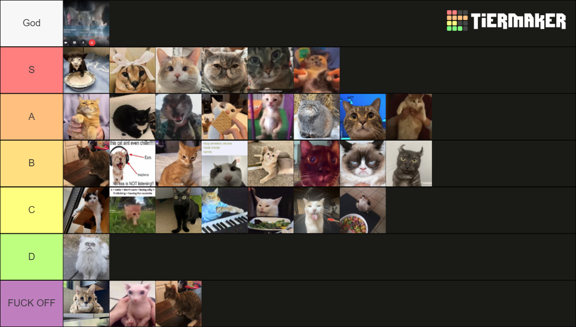 Famous Internet Cats Tier List (Community Rankings) - TierMaker