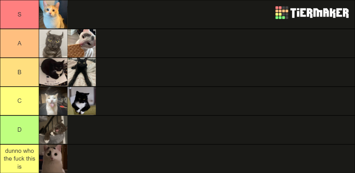Internet Cat Tier List (Community Rankings) - TierMaker