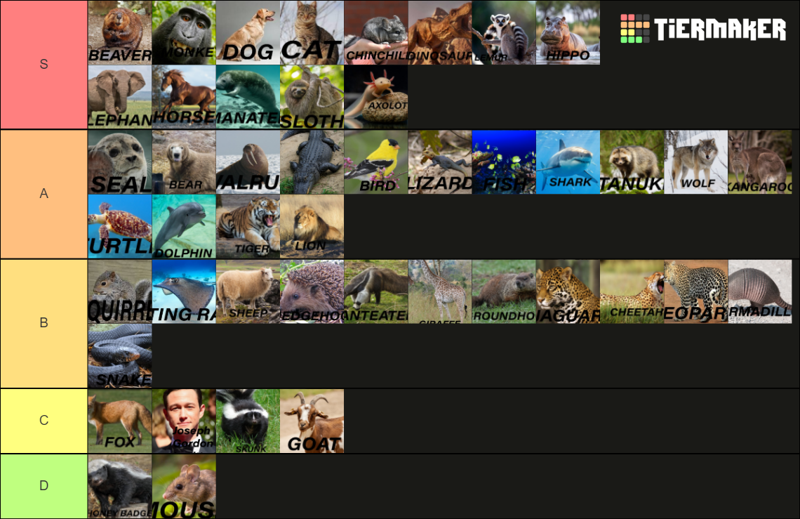 Animals With Tails Tier List (Community Rankings) - TierMaker