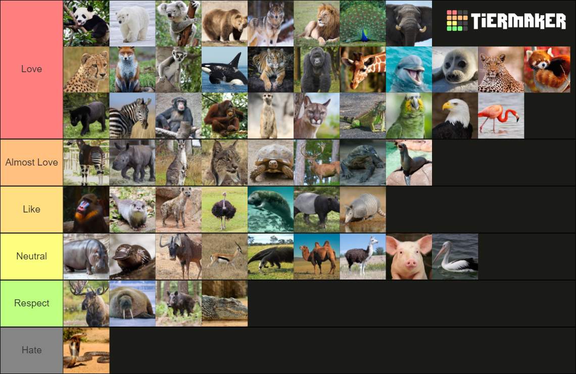 Zoo Animals Tier List (Community Rankings) - TierMaker