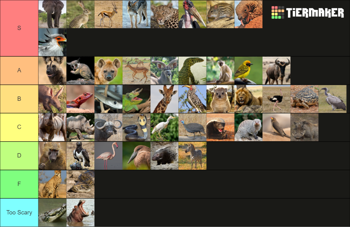 African Savannah Animals Tier List (Community Rankings) - TierMaker