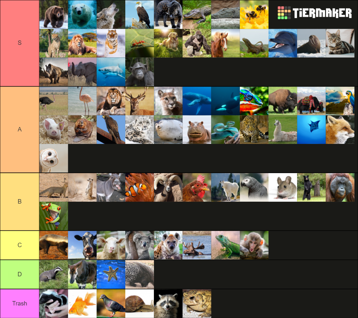 Animal Kingdom Tier List (Community Rankings) - TierMaker