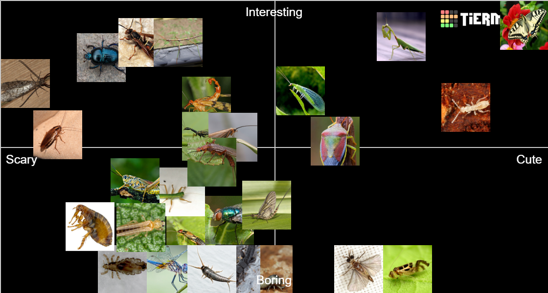 Insect Orders Tier List (Community Rankings) - TierMaker