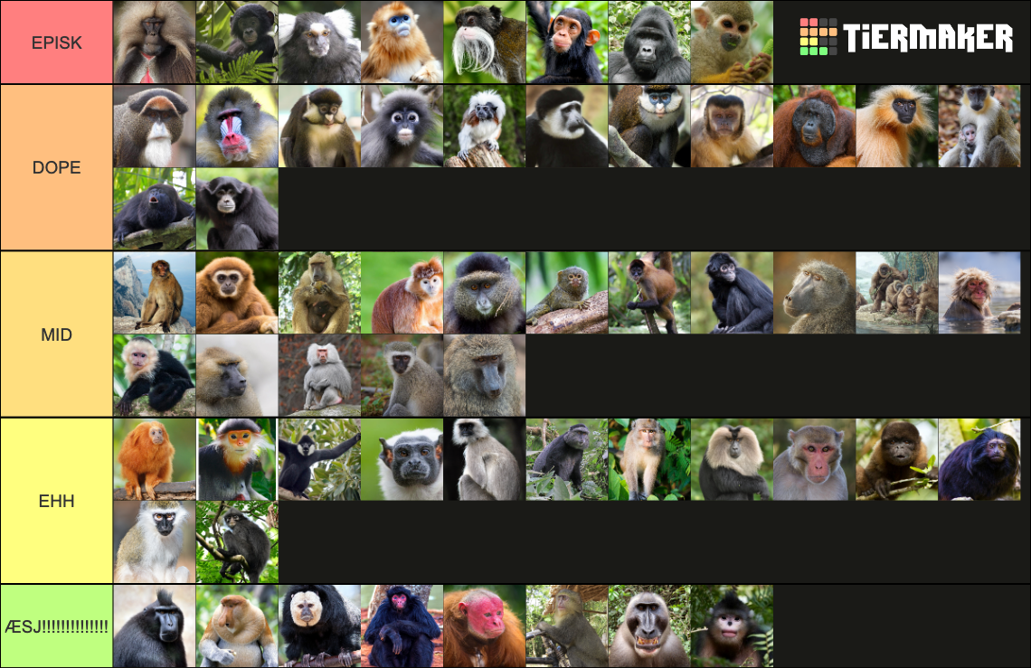 Monkeys/Apes Tier List (Community Rankings) - TierMaker