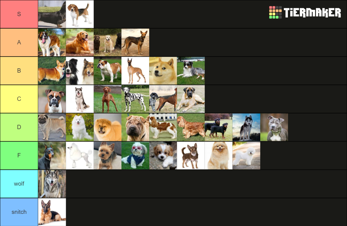 Dog breed Tier List (Community Rankings) - TierMaker