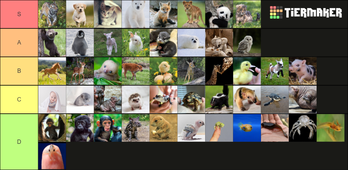 Cutest Baby Animals Tier List (Community Rankings) - TierMaker