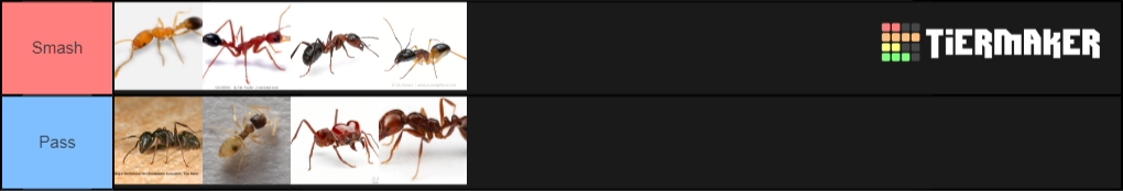 Ants Tier List (Community Rankings) - TierMaker