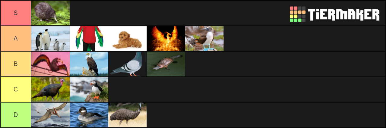 Best Birb Tier List (Community Rankings) - TierMaker