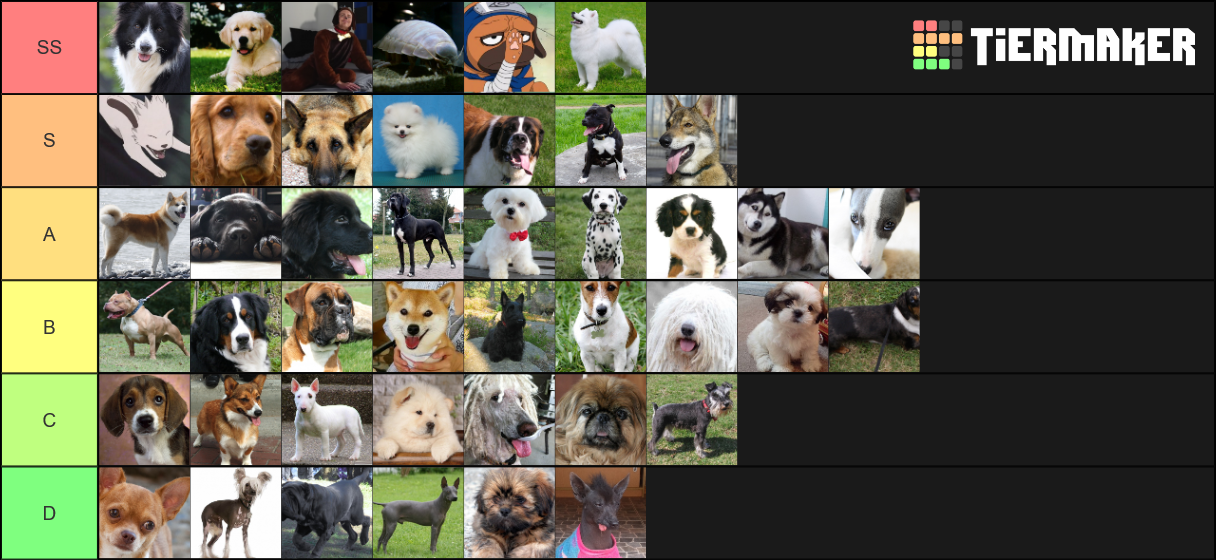 Dog breeds Tier List (Community Rankings) - TierMaker