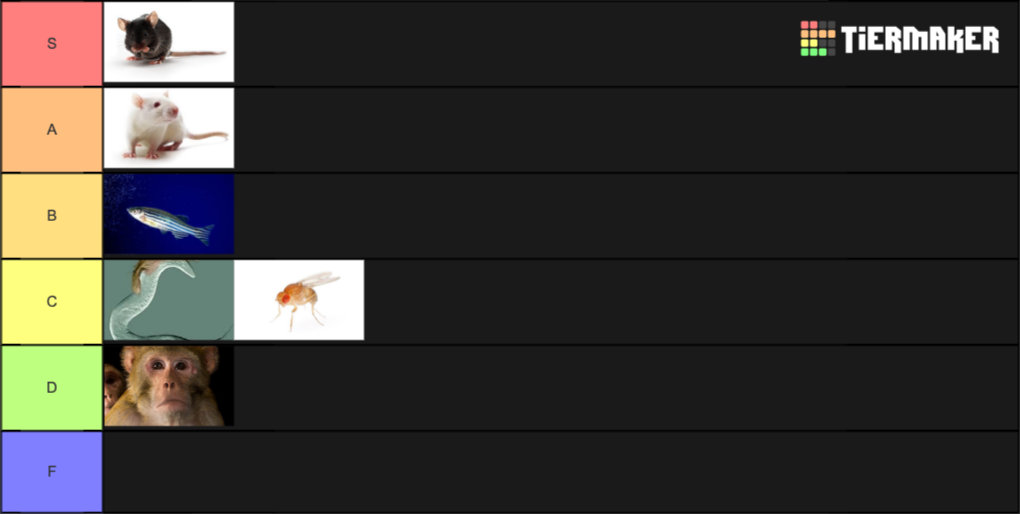 Model organisms Tier List (Community Rankings) - TierMaker